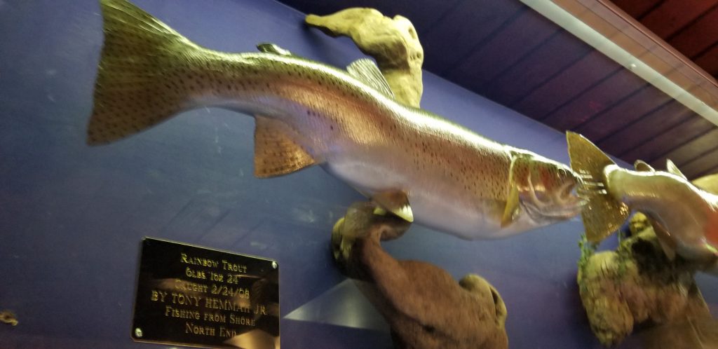 Topaz Lodge and Lake Photo Galleries | Topaz Lodge